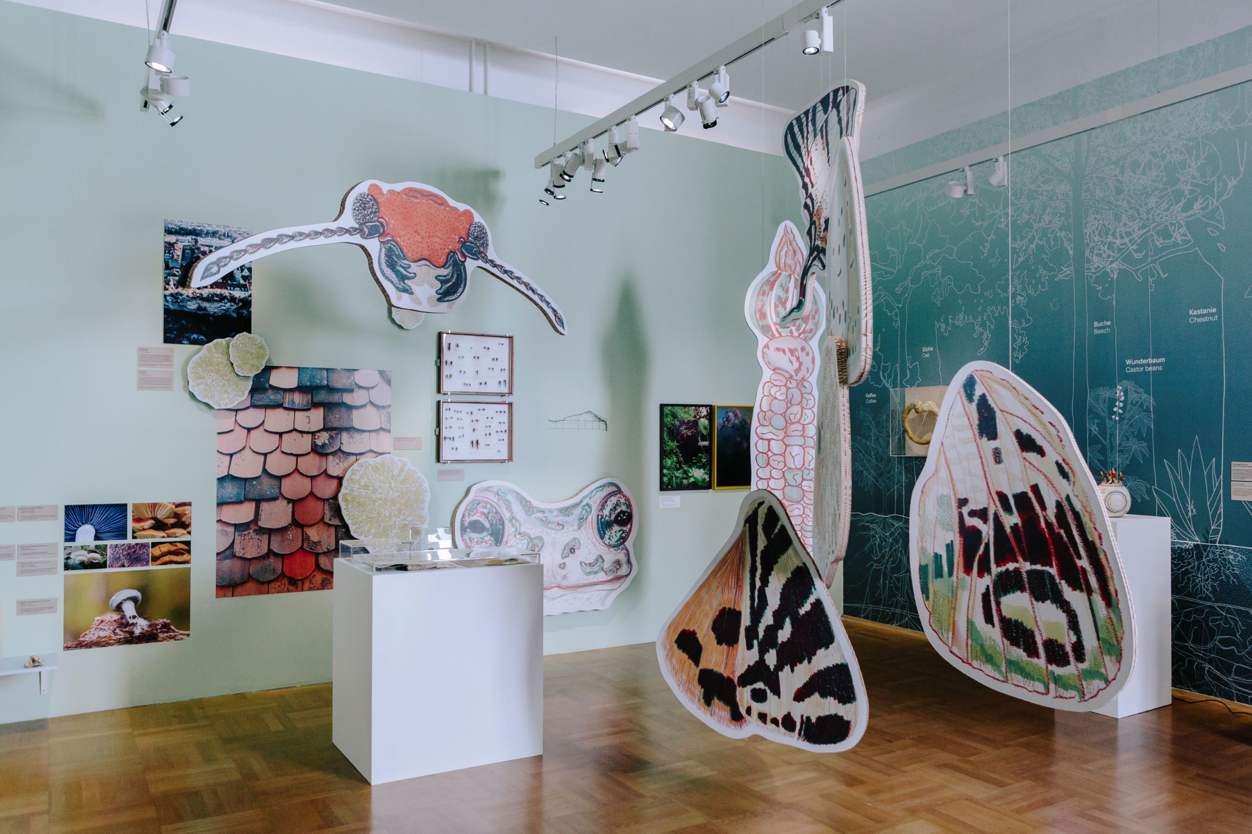 Graz Museum - Umweltserver der Stadt Graz